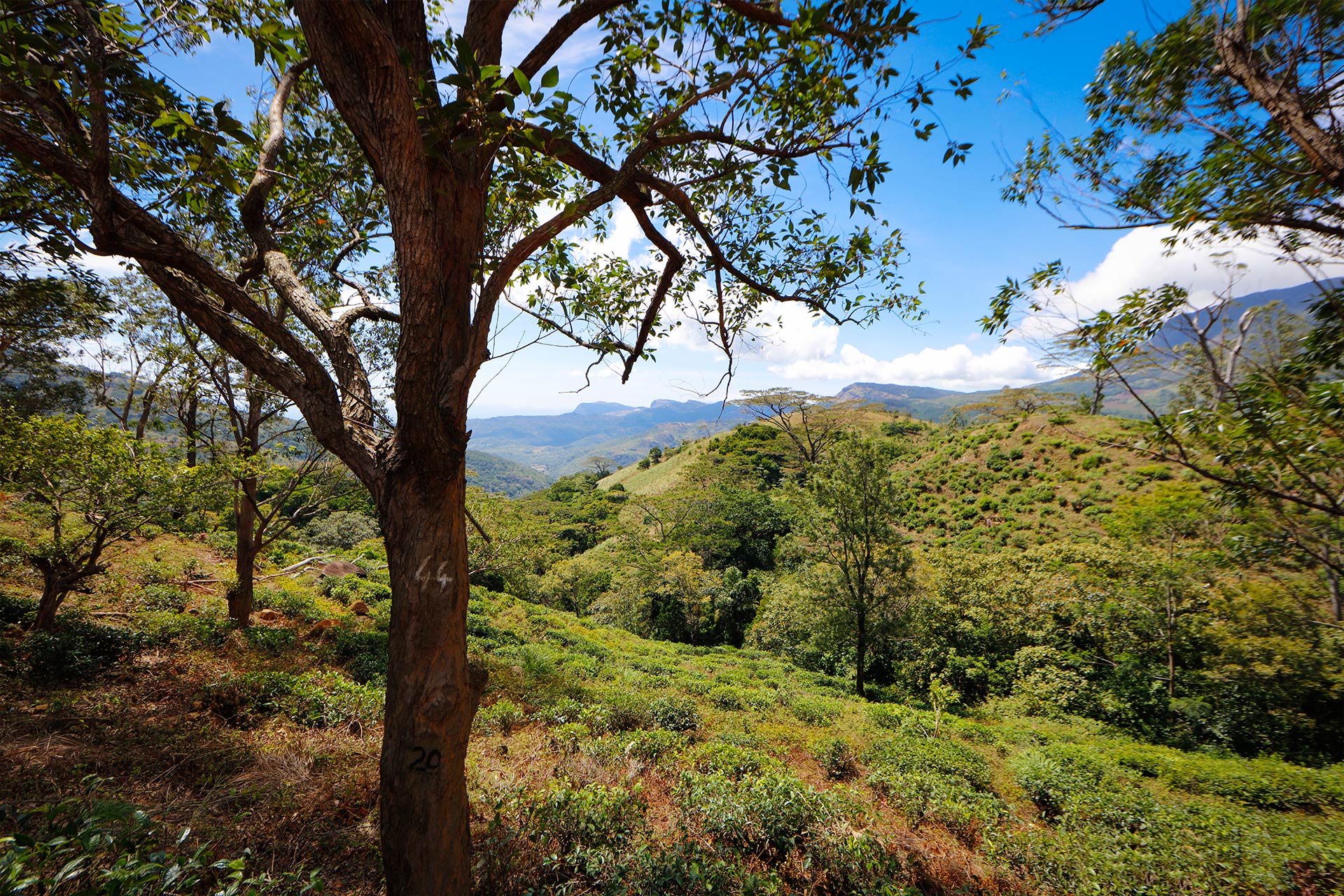 Explore – Shanthi Uyana