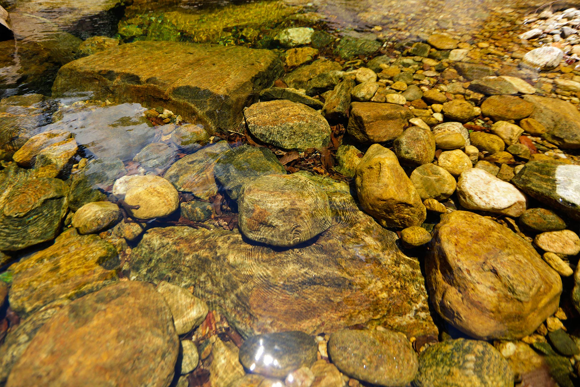 Explore – Shanthi Uyana