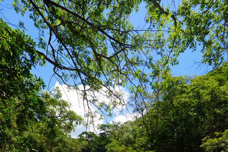 Explore – Shanthi Uyana