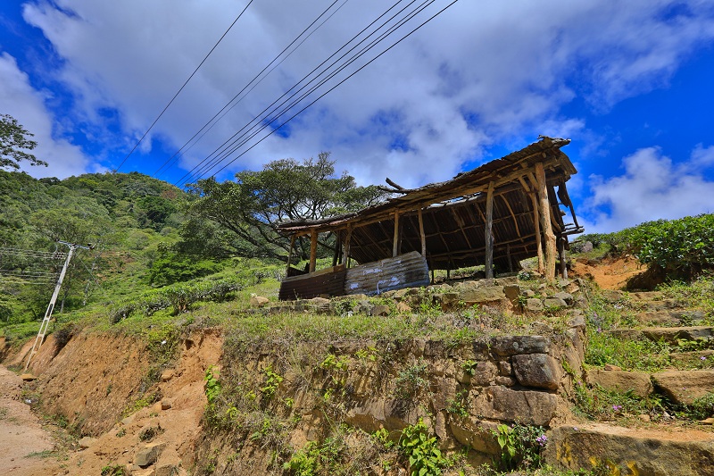 Explore – Shanthi Uyana