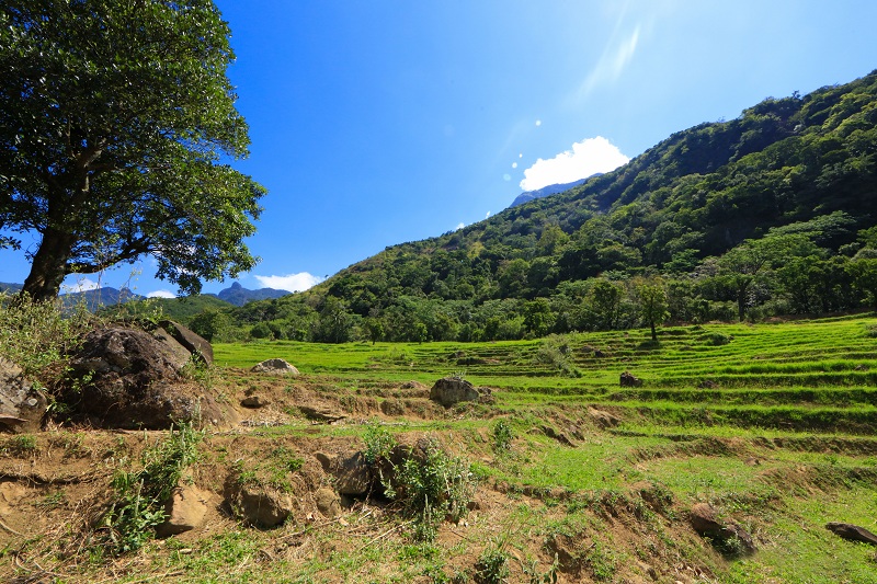 Explore – Shanthi Uyana