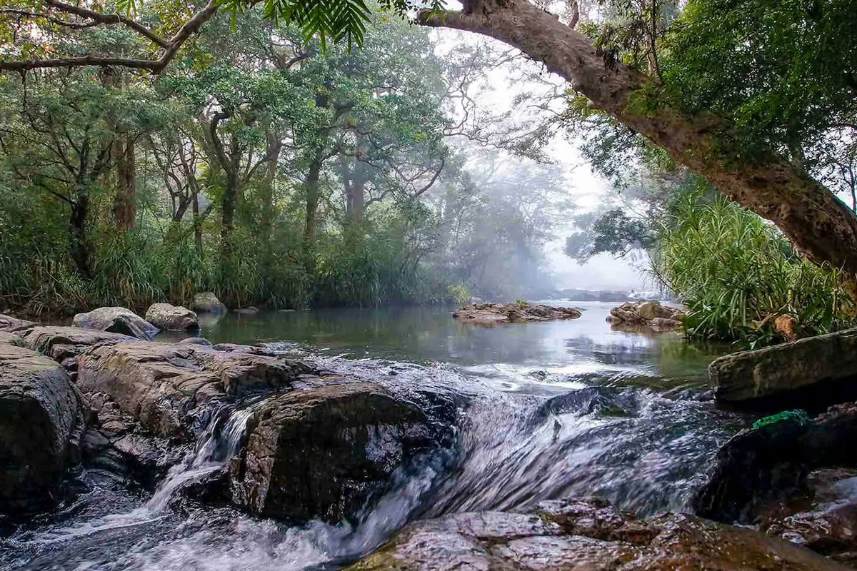 Activities – Shanthi Uyana